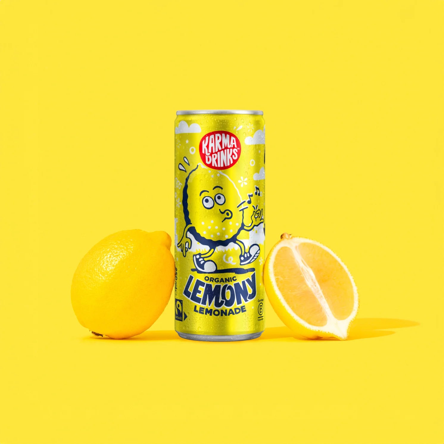 Lemony Lemonade Cans (24 pack) – The Liquorman